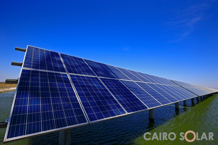 Cairo Solar