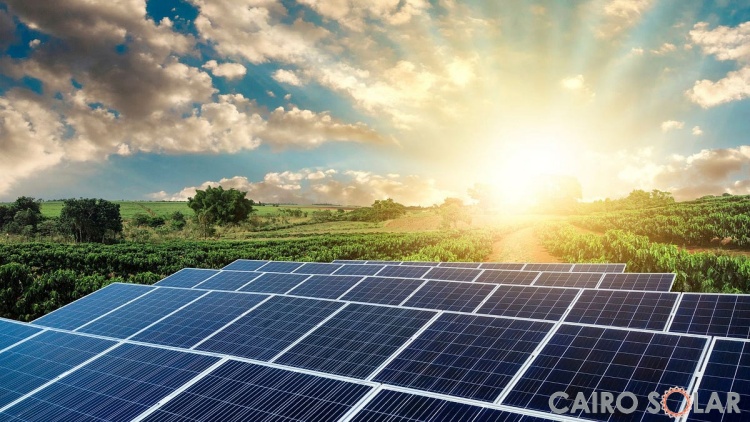 اكبر محطة طاقة شمسية في مصر - Cairo Solar